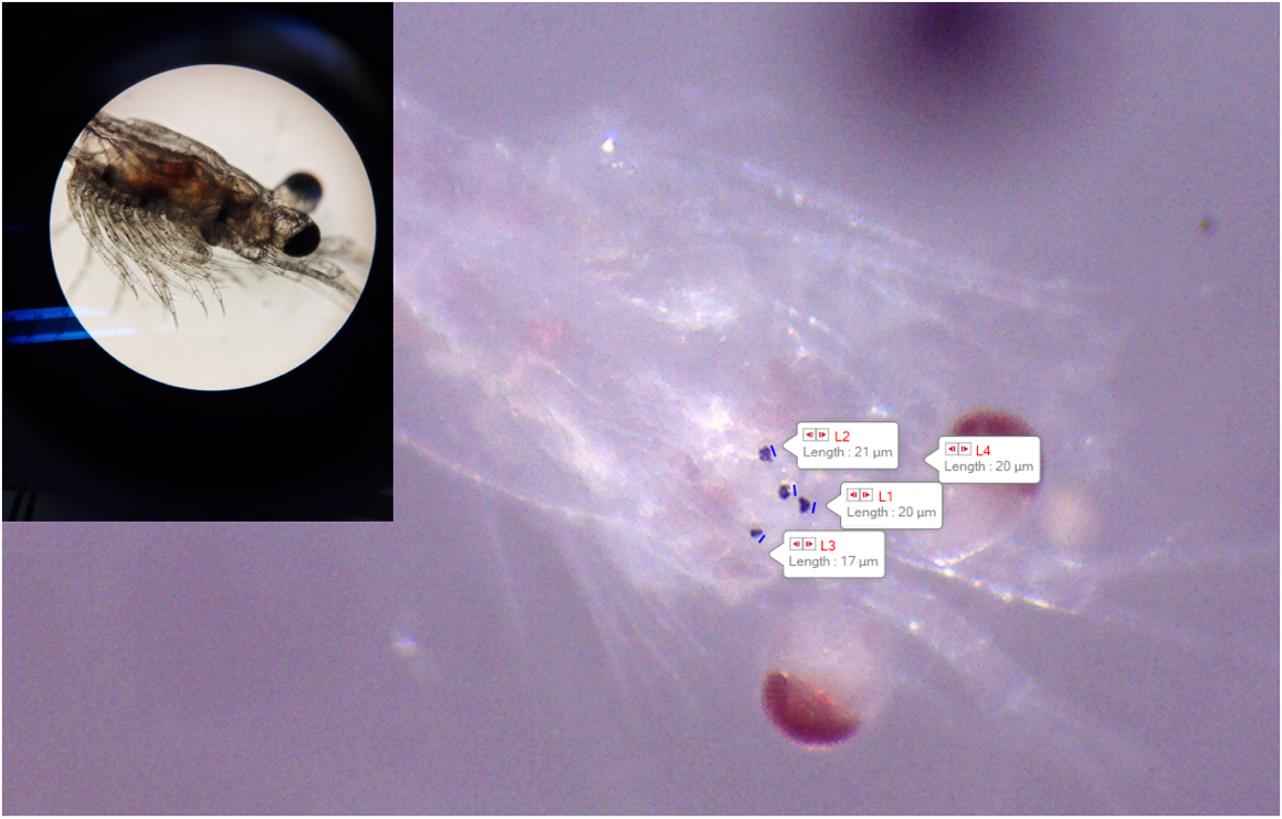 California Ocean Protection Council