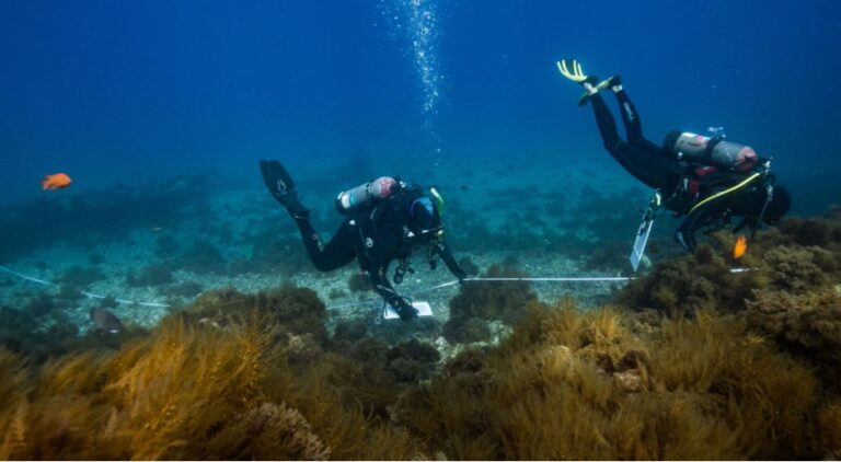 California Ocean Protection Council