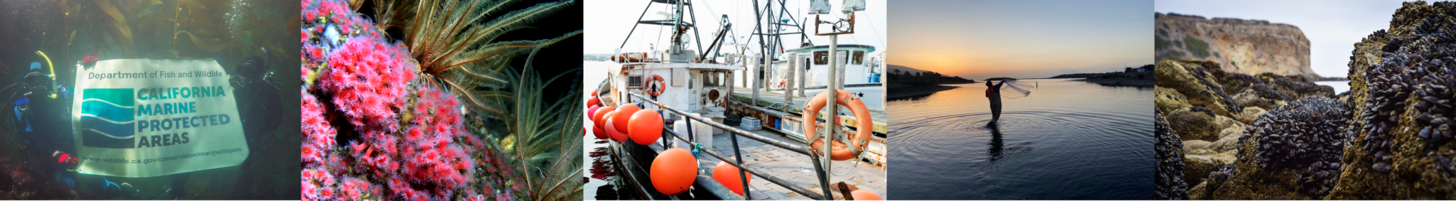 California’s MPA Monitoring Program – California Ocean Protection Council