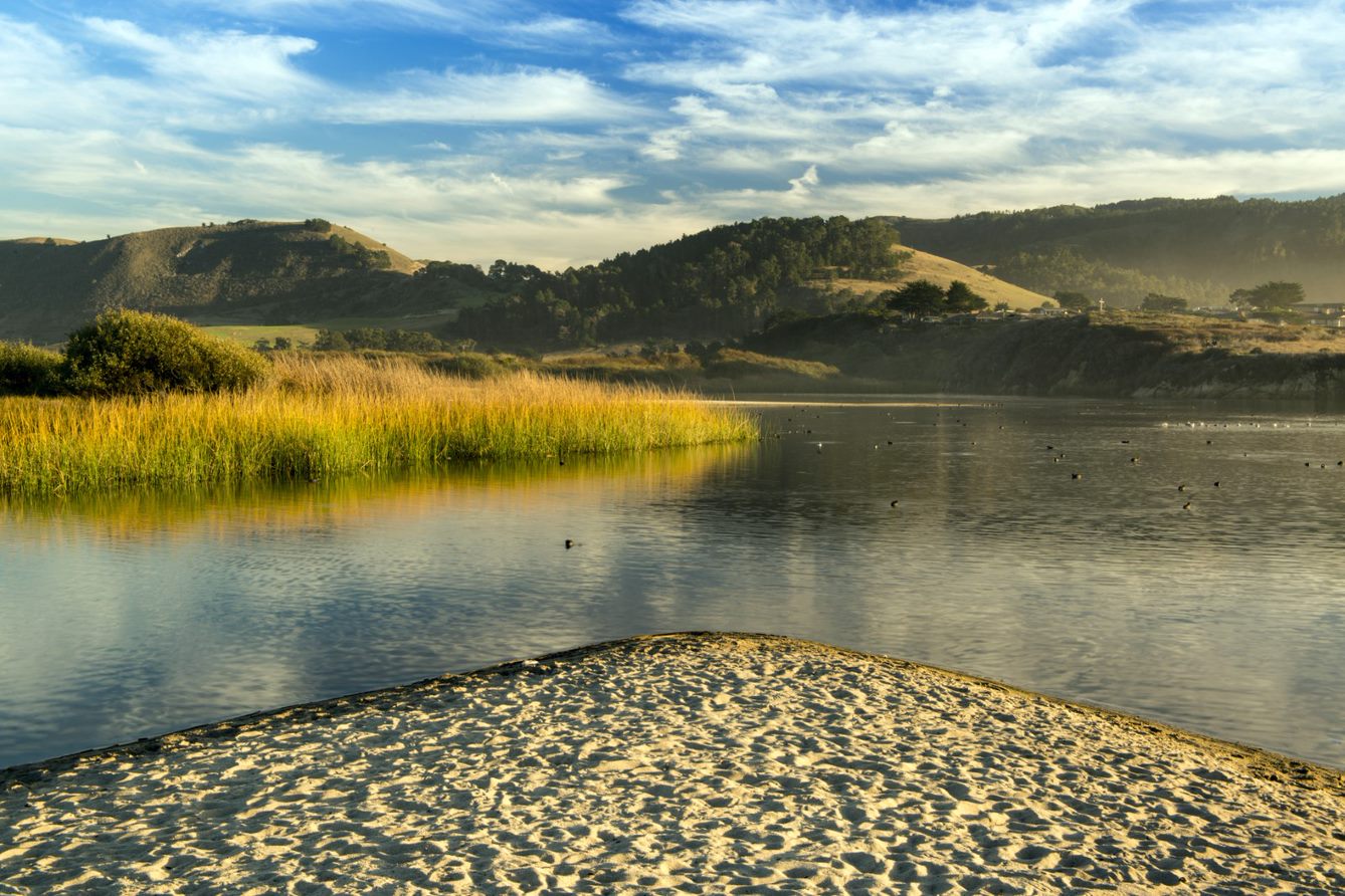 MPA Monitoring Series: Ask the Researcher, Part 4: Estuaries and Mid ...